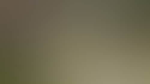 Mount Cole State Forest | Visit Grampians