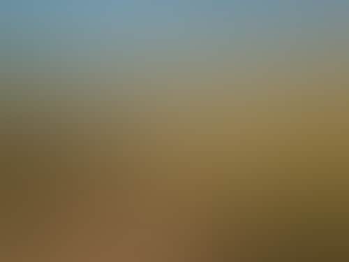 Dadswell's Bridge Visiting, Attractions in… | Visit Grampians