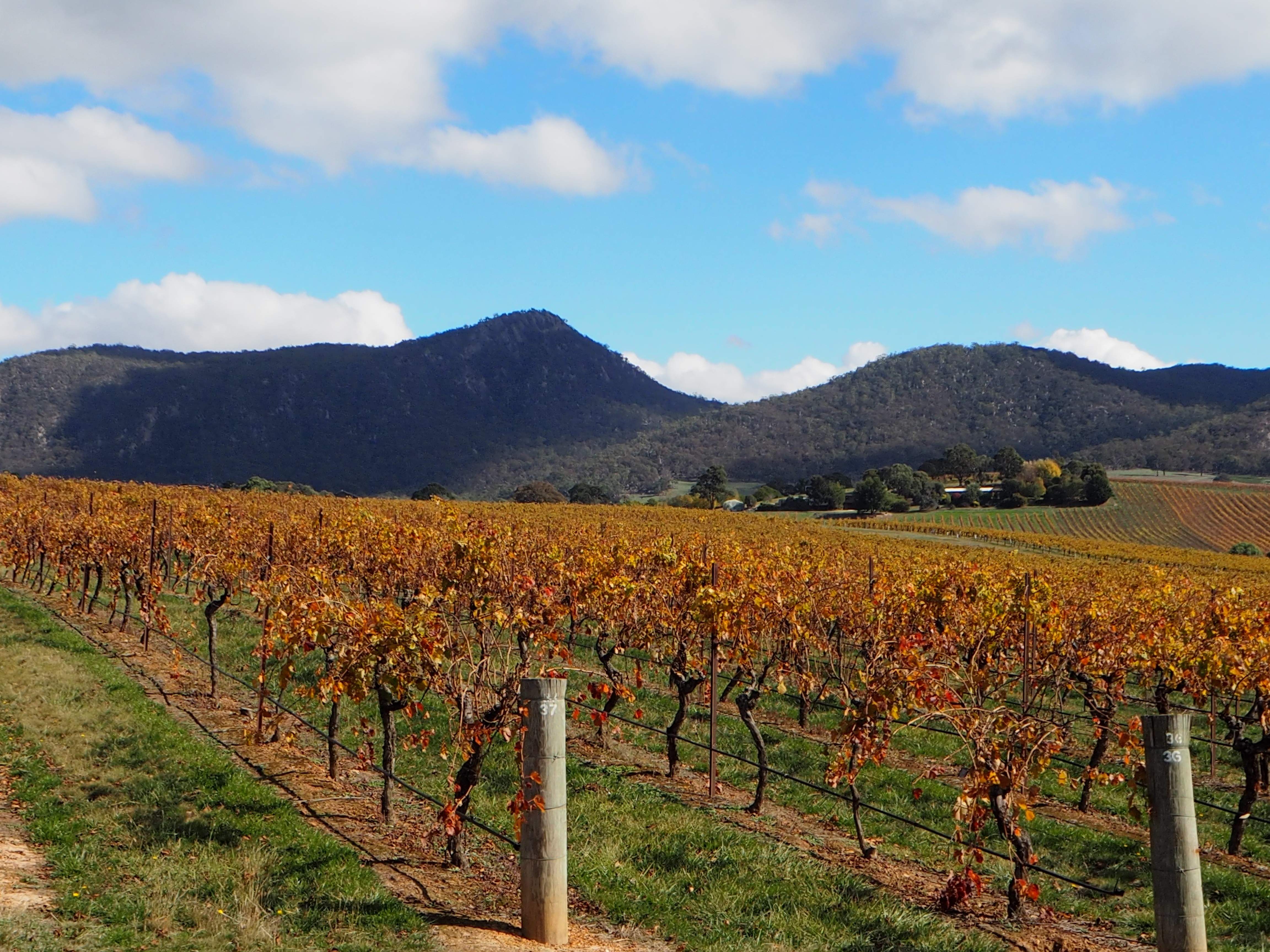 Great Western Day Trip Itinerary | Visit Grampians
