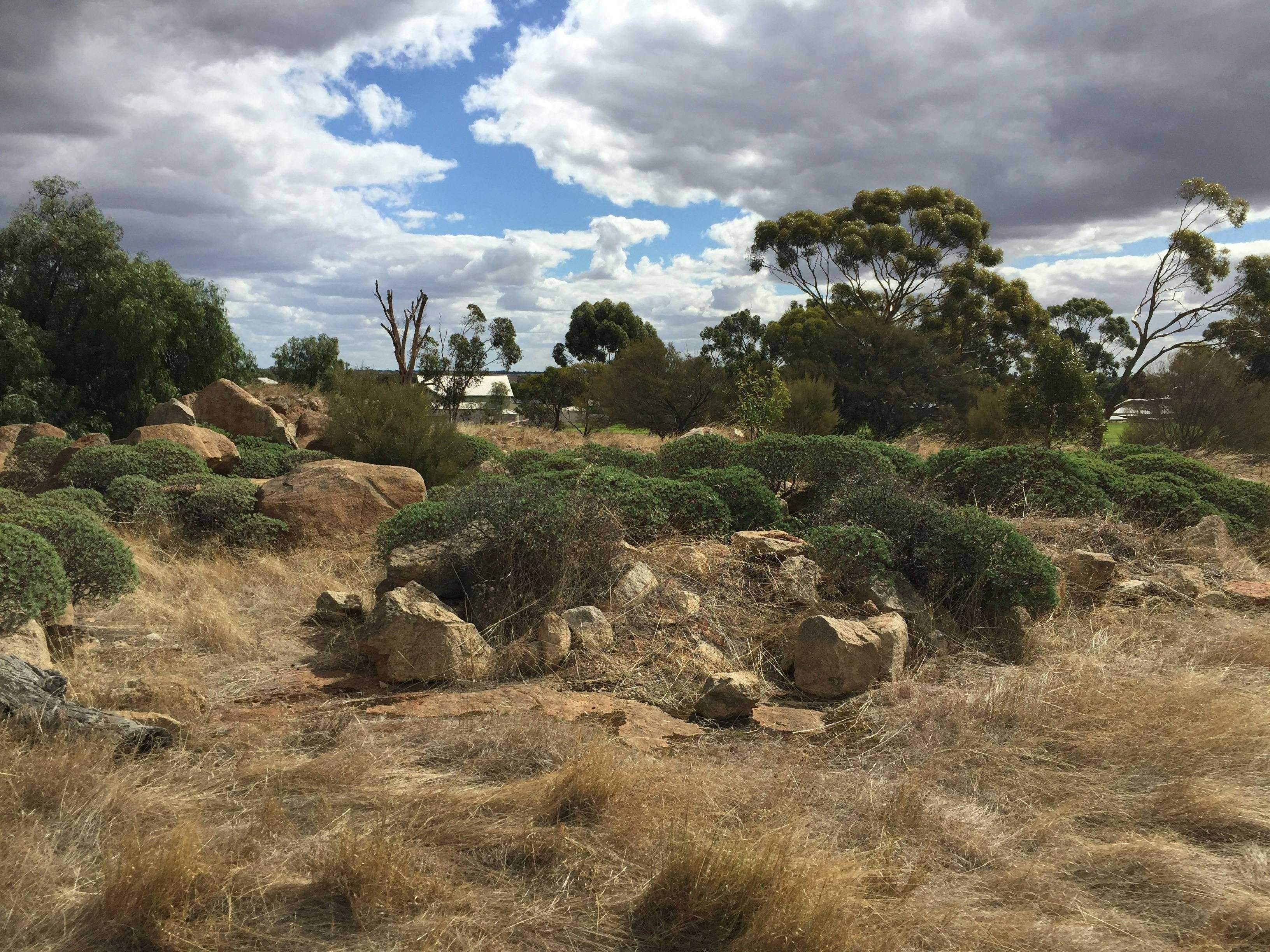 Mount Wycheproof | Visit Grampians